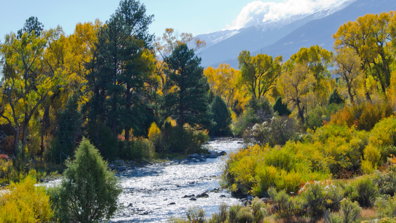 Arkansas PT Compact – Uniti Med