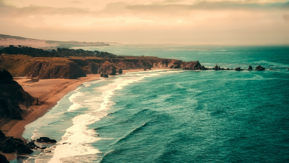 California OT License – Uniti Med